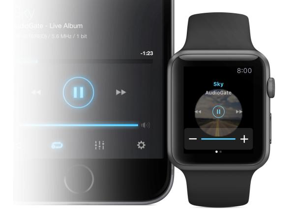 11.2MHz DSD対応のiOS向けハイレゾプレーヤー、コルグ「iAudioGate for iPhone」発売 - エルミタージュ秋葉原
