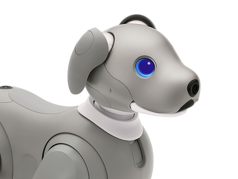 ソニー、自立型ロボット「aibo」の2021年特別カラー“黒ごまエディション”発売 - エルミタージュ秋葉原