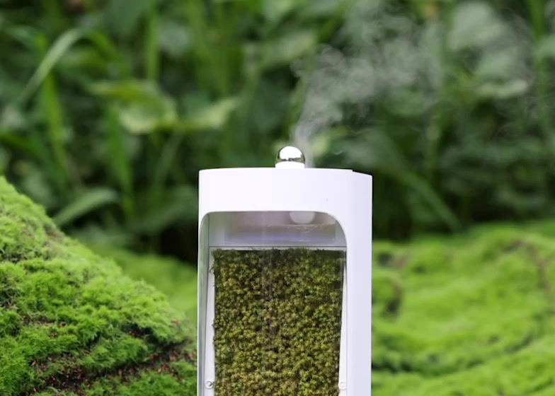 moss_air_04 - エルミタージュ秋葉原